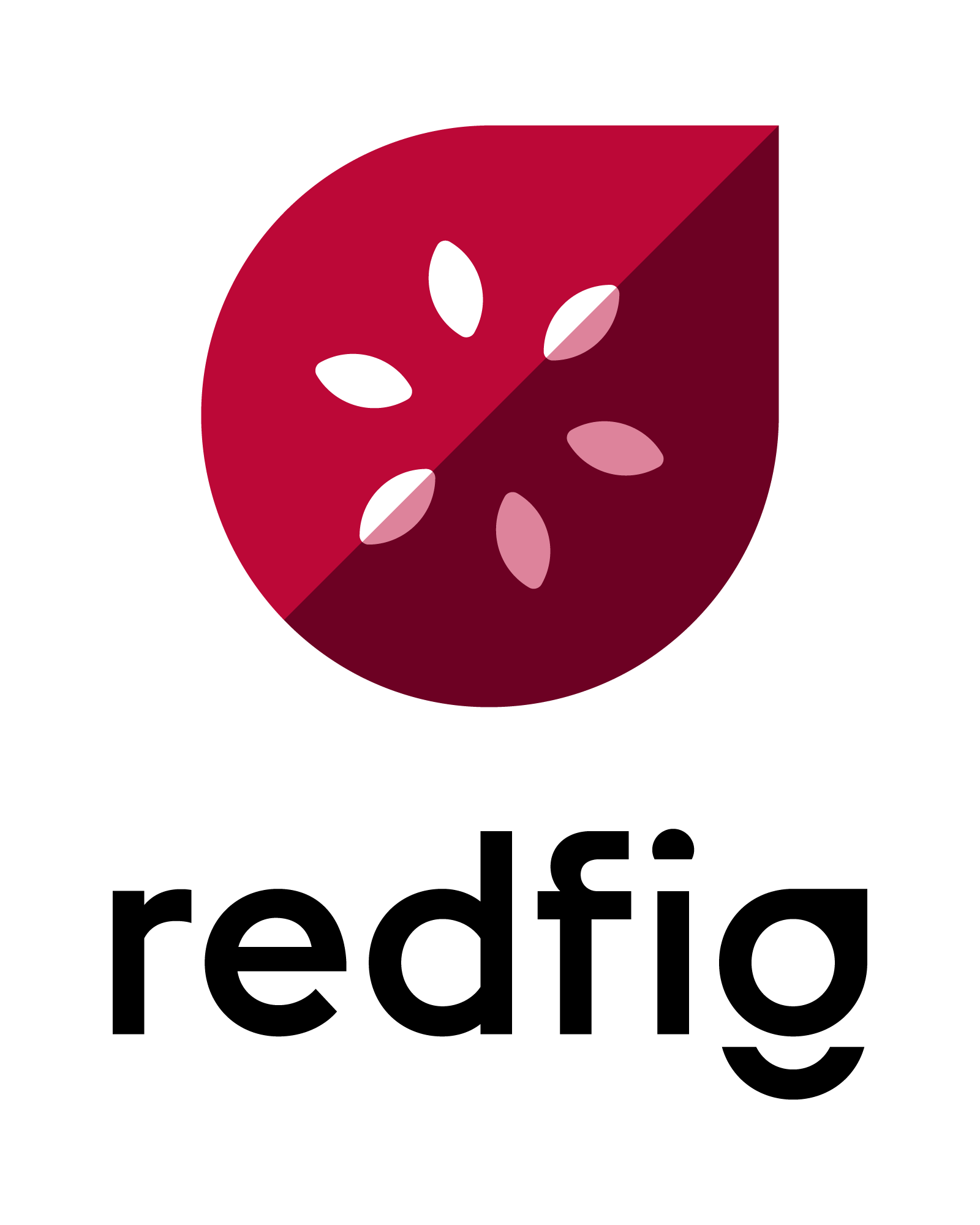 Redfig - SAP Problem Solvers